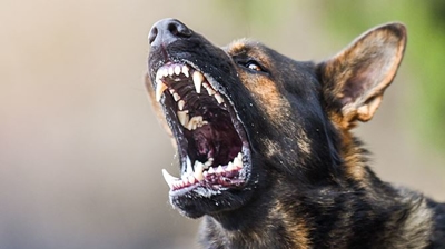 Fort Bend County Criminal Defense Lawyer | Rosen & Kovach, PLLC